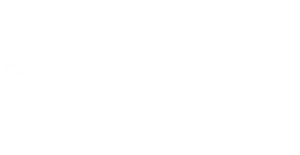 Contact Us - AccessParks